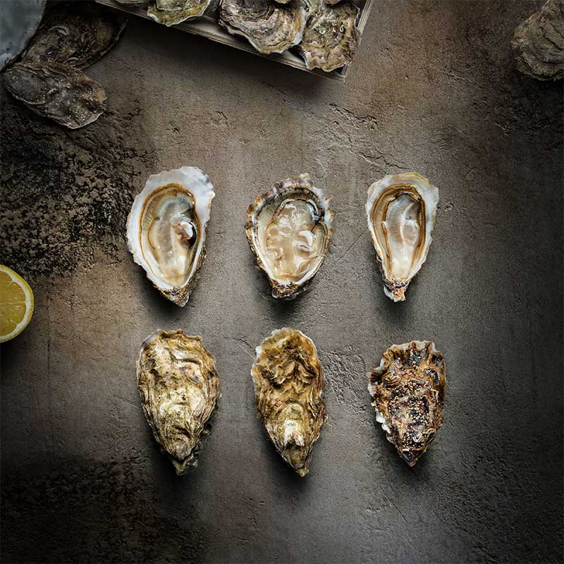 48 Huîtres creuses n°2